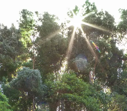 Jouw warmtecomfort is onze passie | NIBE